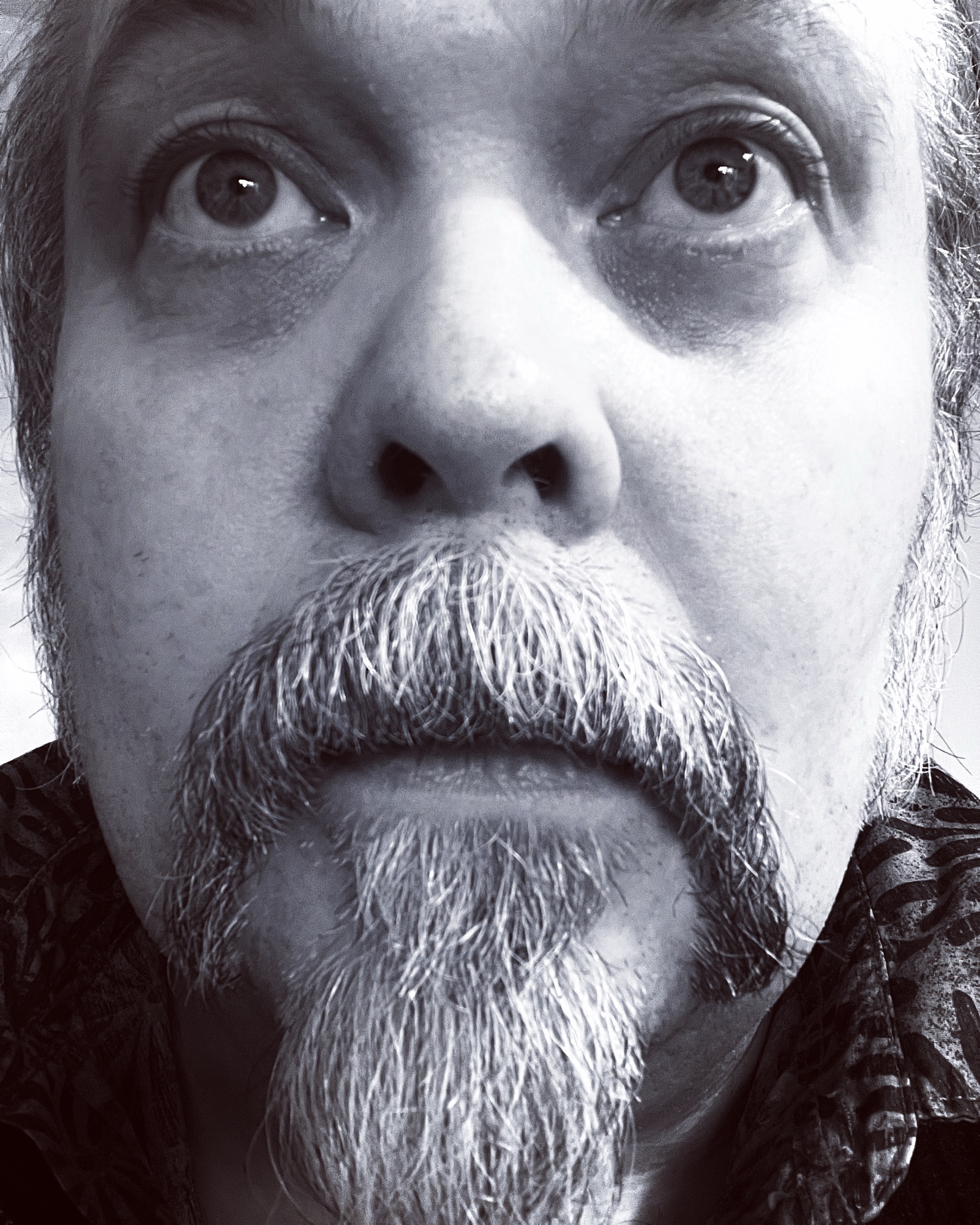 Birthday Face | J.L. Worrad